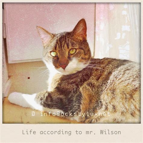 Food Meditations Cooking According To Massimo Bottura Dont Tell Grandma