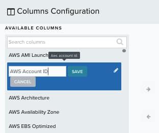 Configuring Columns On Assets