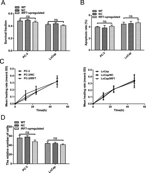 Overexpression Of Interferon Regulatory Factor 7 Irf7 Reduces Bone Metastasis Of Prostate