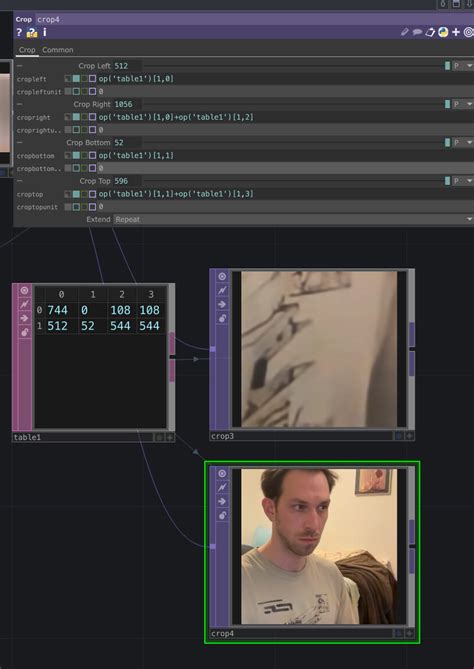 Extracting Rectangles From A Numpyarray Video And Putting Them Into