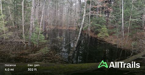 Massabesic Experimental Forest Cc Rd Maine 31 Reviews Map Alltrails