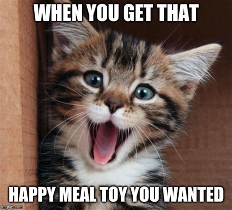 Happy Cat Imgflip