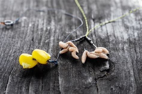 How To Make Soybean Carp Bait