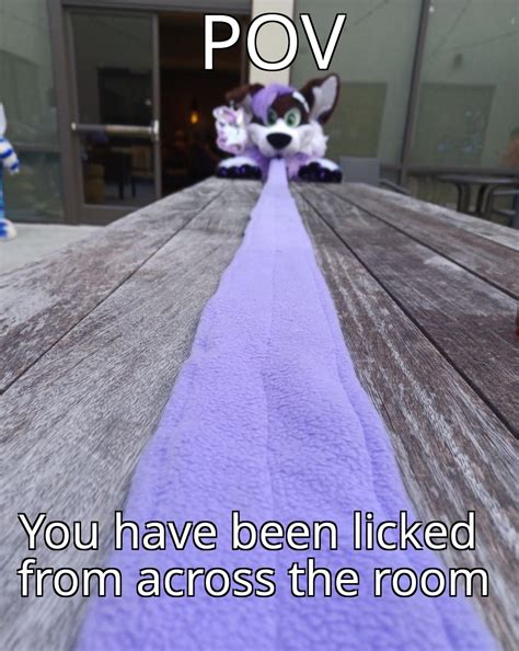 72 Best Licc Images On Pholder Jazzcirclejerk Leopardgeckos And Party Parrot