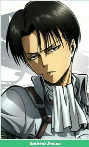 Levi Akkerman Wiki Anime Amino