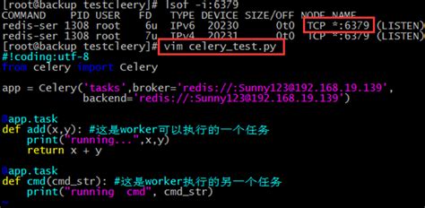 python celery介绍和基本使用 wang wei123 博客园