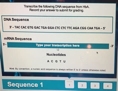 Solved Transcribe The Following Dna Sequence From Hba