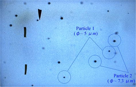 Micrograph Of The Utilized Specimen Which Consisted Of Particles Of