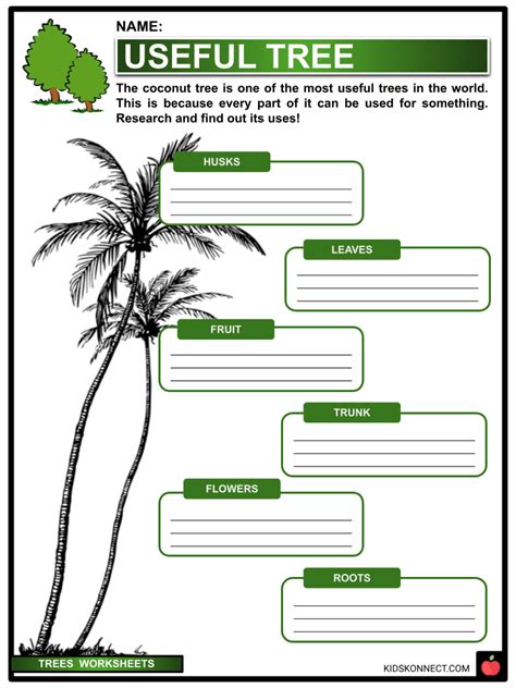 Trees Facts And Worksheets And Examples Pdf Download