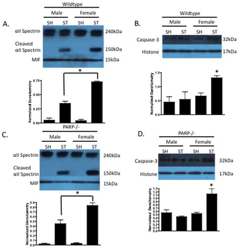 Nicotinamide Adenine Dinucleotide Nad And Nicotinamide Sex