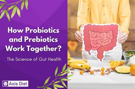 How Probiotics And Prebiotics Work Together The Science Of Gut Health
