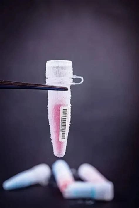 Plain White Labels For Liquid Nitrogen For Cryogenic Application Gsm