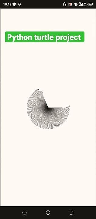 Python Turtle Project Python Programming Amazing Project