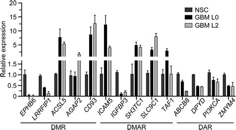 Multiplex Mapping Of Chromatin Accessibility And Dna Methylation Within
