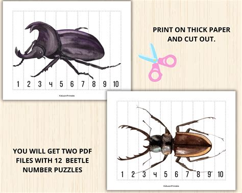 Beetle Number Puzzlebeetle Matching Activitybeetle Symmetry Puzzle