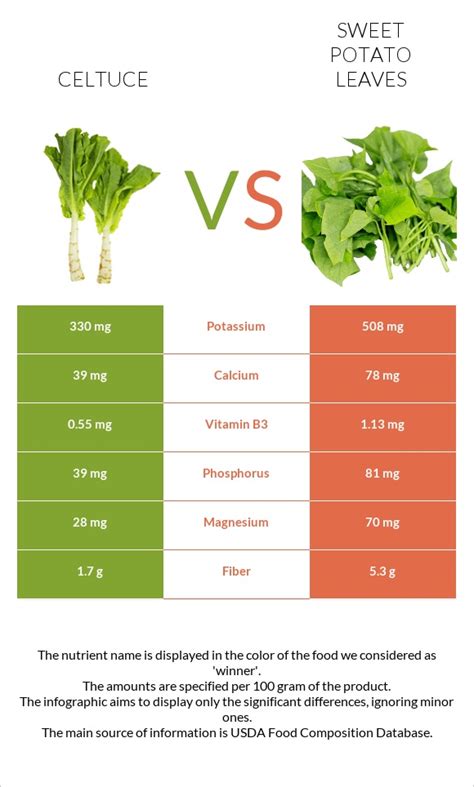 Celtuce Vs Sweet Potato Leaves — In Depth Nutrition Comparison