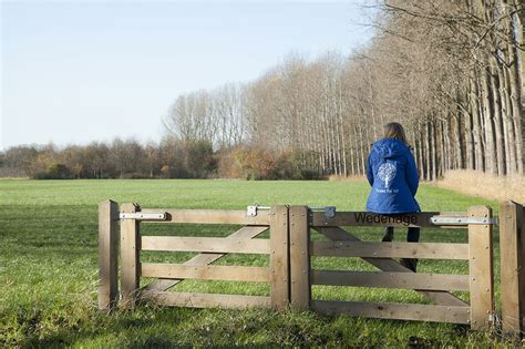 Ook Voor Mij Als Al Een Tijdje In Dienst Collega Wordt Er Een Boom