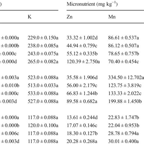 Effect Of Foliar Application Of Different Concentrations Of Zno Nps On Download Scientific