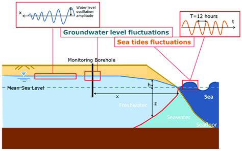 Conceptual Diagram Of Tidally Induced Groundwater Level Signals Over
