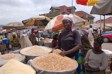 Genetically Modified Beans Has Been Approved In Nigeria What Is Gmo