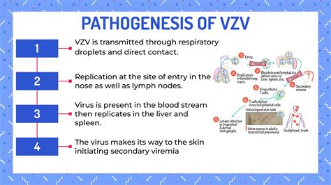 Chickenpox Disease Project 1pdf