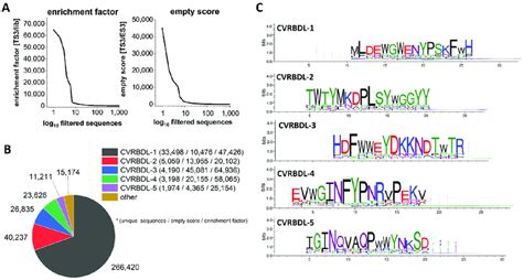 Ngs Sequence Filtering And Clustering Reveals Five Main Sequence