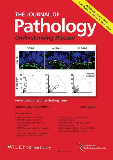 Detailed Dna Methylation Characterisation Of Phyllodes Tumours