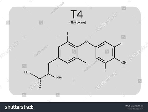 Thyroid Gland Hormone T4 Chemical Structure Stock Illustration