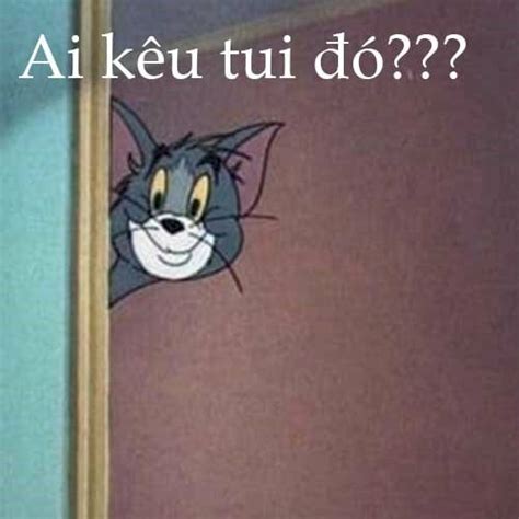 Top 101 ảnh Meme Mèo Tom Hài Hước Cute Tải Xuống Miễn Phí