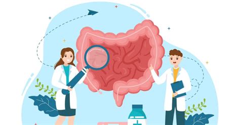 Difference Between Lower Endoscopy And Colonoscopy At Curtis Dolan Blog