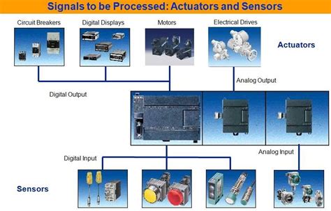 Understanding The Wiring Of Input And Output Devices For Plc Systems