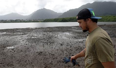 The False Compassion Of Liberalism