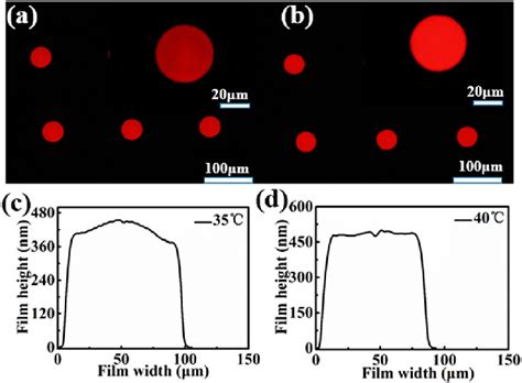 Printed 2d Topographies And Film Thicknesses At Different Substrate Download Scientific Diagram