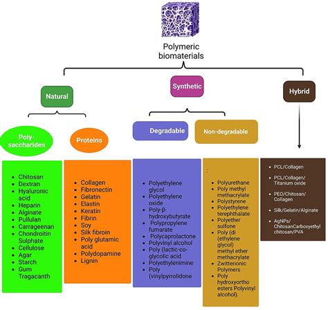 Macro Micro And Nano Inspired Bioactive Polymeric Biomaterials In Th Dddt