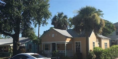 4 Free Tips For Tree Trimming Blog Florid Tree Ground Maintenance