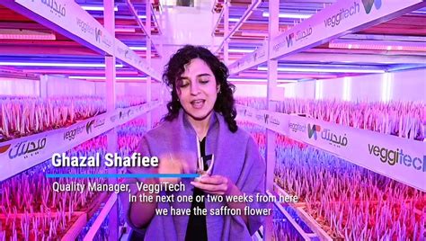 Ghazal Shafiee On Uaes First Saffron Farm Video Dailymotion