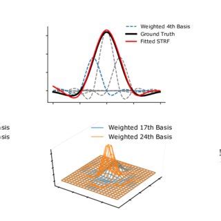 Illustration Of The Natural Cubic Spline Basis A 1D Natural Cubic Download Scientific Diagram
