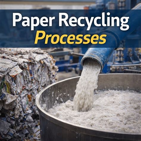 Paper Recycling Processes 101 Exciting Guide