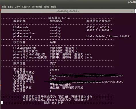 Pherry卡住了 节点部署支持 Phala Forum