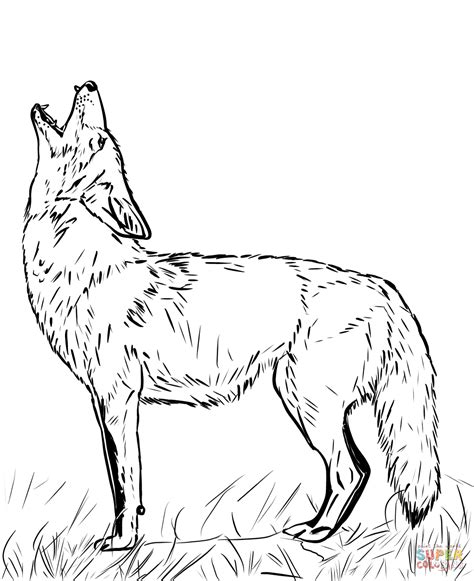 Howling Coyote Coloring Page Free Printable Coloring Pages Artofit