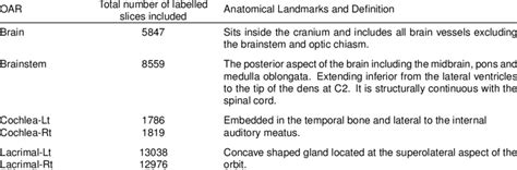 Taxonomy Of Segmentation Regions Download Table