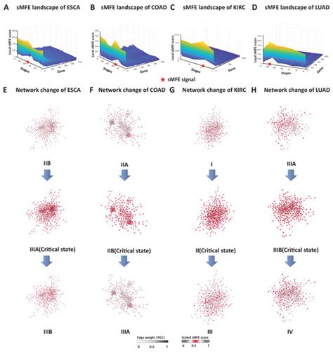 identifying the critical state of cancers by single sample markov flow