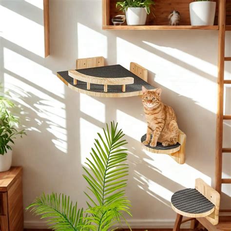 Pine Wood Cat Wall Shelves Set With Ladder Modern Cat Climbing