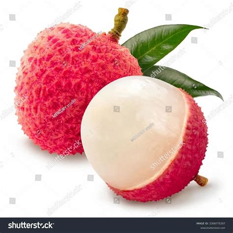 Lychee Flavor Liquid Packaging Size 10 Kg At ₹ 1200litre In Surat