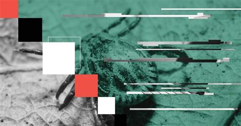 Ivanti Rolls Out Patches For Exploited Connect Secure Flaws Patrick C Miller