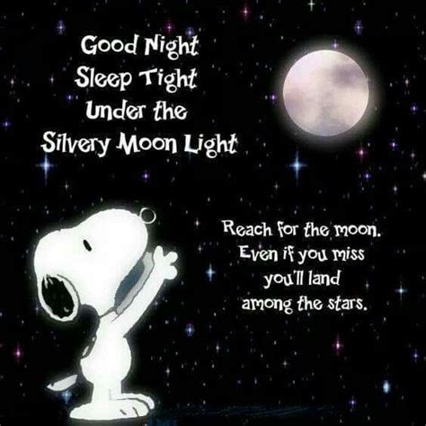Snoopy Goodnight Quote Good Night My Friend Goodnight Snoopy Snoopy