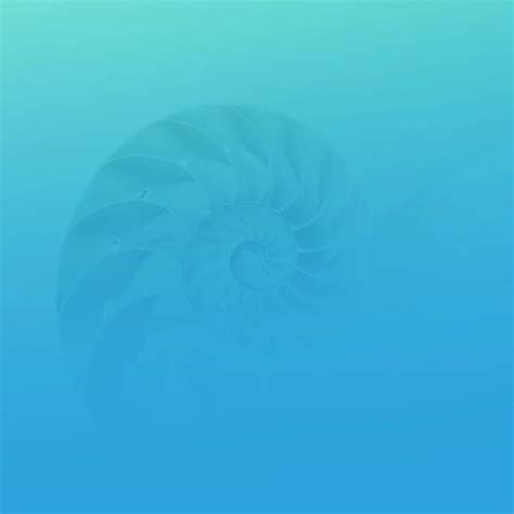 Recruitment Marketing Talent Evolution Group Talent Evolution Group