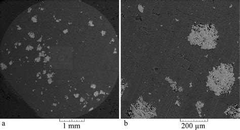 Figure 7 From Development Of An Image Based Method For Tablet