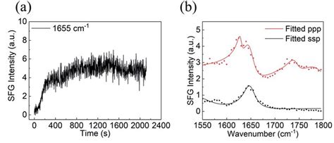 A Time Dependent Sfg Ssp Signal Intensity Observed At 1650 Cm À1