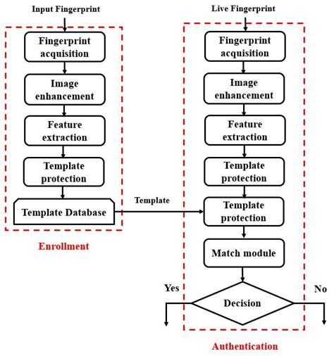 Fingerprint Biometric System Download Scientific Diagram